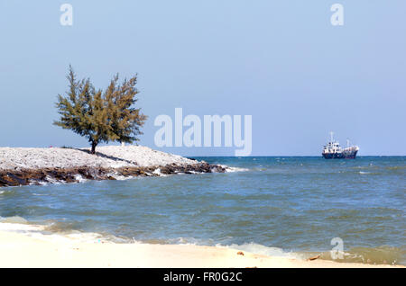 Tree alone in the waste rock dam in the sea with blue sky Stock Photo ...