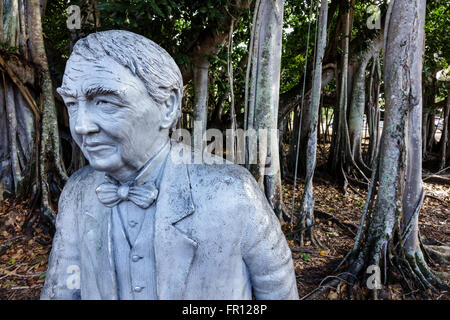 Statue of Thomas Edison in Banyan Tree at Edison and Ford Winter ...