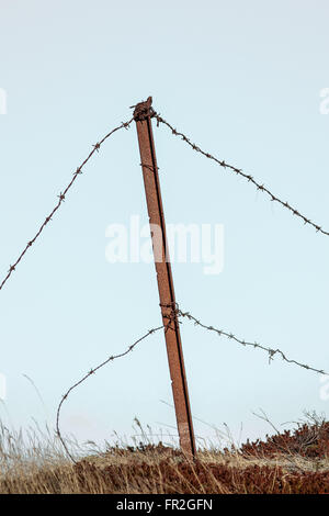 War post in red background and spot light Stock Photo - Alamy