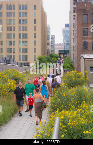 The urban elevated linear public park known as the High Line built on a ...