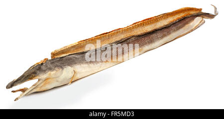 Dry moray eel over white background Stock Photo - Alamy