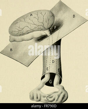 'Animal Castration' (1914) is a guide for veterinary students and ...