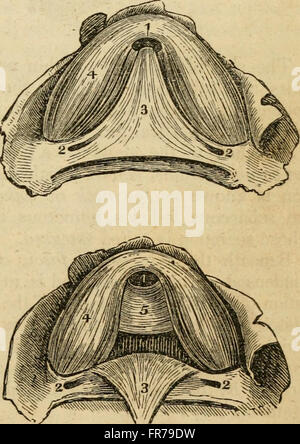 . An analytical compendium of the various branches of medical science ...