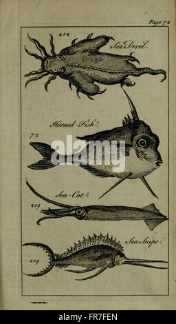 Plate 2 from 'A New and Accurate System of Natural History' provides a ...