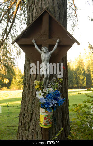 Österreich, Niederösterreich, im Mostviertel bei Scheibbs, Waldweg beim ...