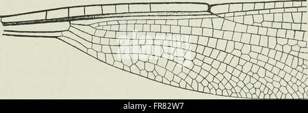 'The Biology of Dragonflies' (1917) examines the biology, life cycle ...