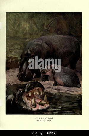 'The Wild Beasts of the World' (Plate 29) provides an artistic ...