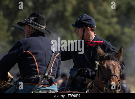 Cavalry Scouts in Action at the Hawes Farm Civil War Reenactment in ...