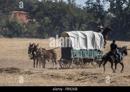 Cavalry Scouts in Action at the Hawes Farm Civil War Reenactment in ...