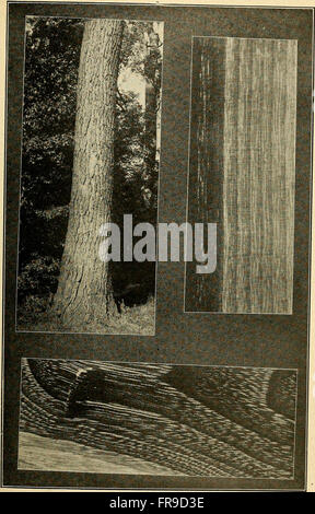 The 1905 edition of the Documentary Journal of Indiana provides a ...