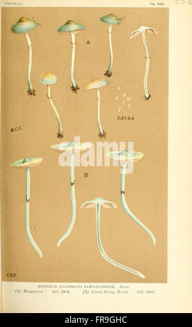 An illustrated atlas focusing on the Hymenomycetes species of British ...
