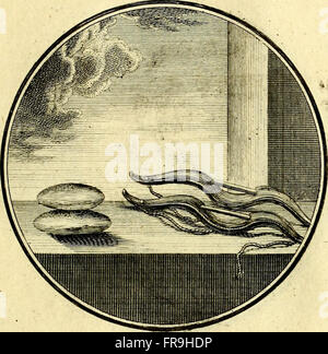 This 1780 manuscript presents the emblematic rule of St. Benedict, a ...