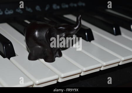 Elephant on Keyboard Stock Photo - Alamy