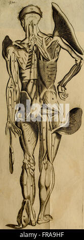 Thomae Bartholini Archiatri Danici, Anatome (Renovated Edition) is an ...