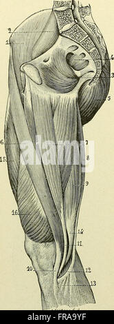 This 1913 textbook provides foundational knowledge on human anatomy and ...
