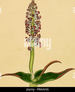 This botanical publication showcases rare and newly discovered plants ...