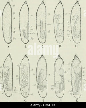 'The Biology of Dragonflies' (1917) explores the life cycle, anatomy ...