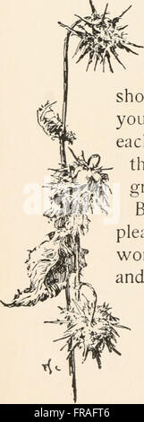 This 1900 edition of Charles Dickens' classic tale 'A Christmas Carol ...