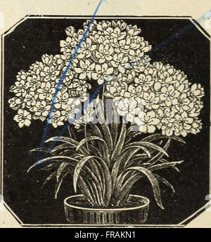 'Catalogue of Hardy Bulbs, Plants, etc.' (1896) lists various hardy ...