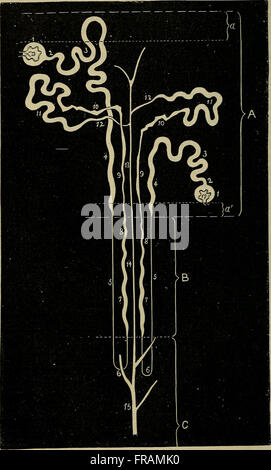 The Hand-book of Physiology (1892) provides an in-depth overview of ...