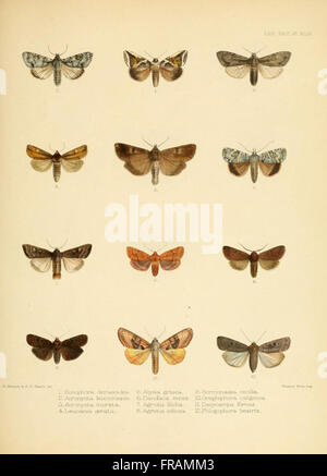 This work features illustrations of typical specimens from the ...