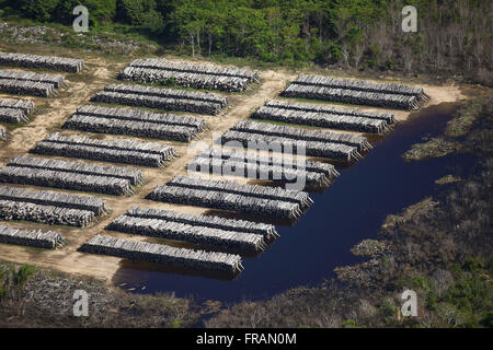 Deposit of cut tree trunks of flooded forest Stock Photo - Alamy