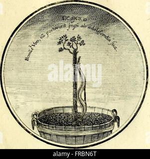 'Regvla Emblematica Sancti Benedicti' (1780) presents the emblematic ...