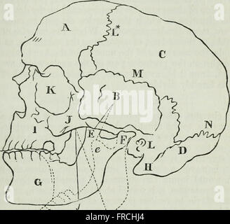 This 1856 work on human physiology explores the functions, structures ...