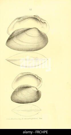 This *Monography of the Family Unionidae* provides an in-depth study of ...