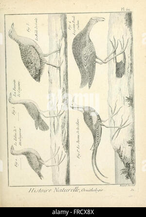 This French work 'Tableau encyclopédique' offers a systematic ...