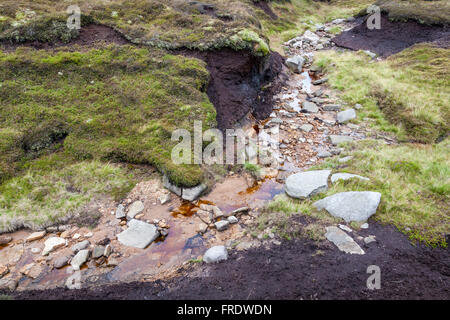 Moorland gully and peat hag formed by erosion of the moor by a stream ...