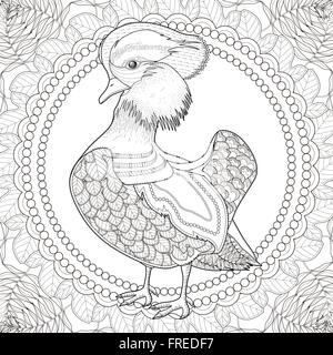 lovely mandarin duck coloring page in exquisite style Stock Vector ...