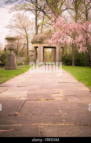 Cherry Blossoms. Beautiful spring garden. Trees and grass Stock Photo ...