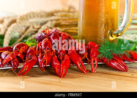 Boiled crawfish with dill and mug of cold beer Stock Photo - Alamy