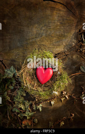 Heart-shaped bird nest in hollow trunk close up Stock Photo - Alamy