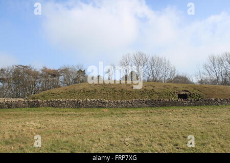 Belas Knap Neolithic Long Barrow Cotswold Severn Cairn Aerial Photo ...