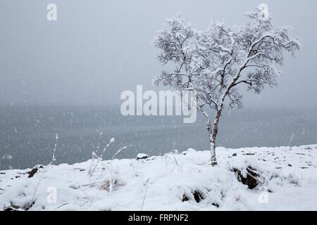 snow winter in Tromso, march 2016 Stock Photo - Alamy