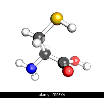 Cysteine. Molecular model of the amino acid cysteine (C3.H7.N.O2.S ...