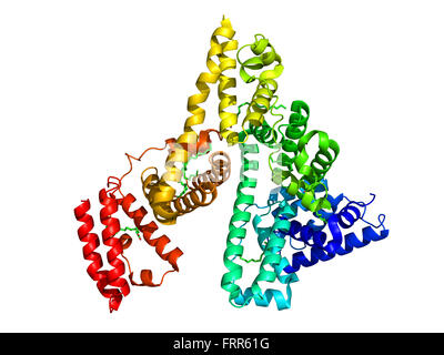 Human serum albumin molecule Stock Photo: 65226991 - Alamy