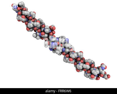 Collagen model protein, chemical structure. Essential component of skin ...