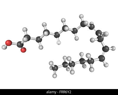 Linoleic acid (LA) molecule. Omega-6 polynsaturated fatty acid ...
