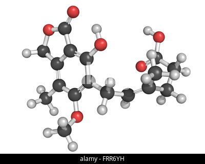Mycophenolate (mycophenolic acid) immunosuppressive drug molecule. Used ...