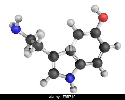 Serotonin. Computer model of a molecule of the neurotransmitter ...