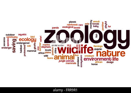 Zoology word cloud concept Stock Photo - Alamy