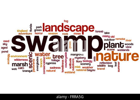 Swamp word cloud concept Stock Photo - Alamy