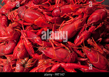 Close up of crawfish in a pile Stock Photo - Alamy