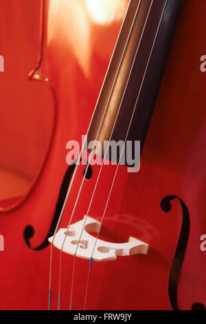 Cello, detail, close-up Stock Photo - Alamy