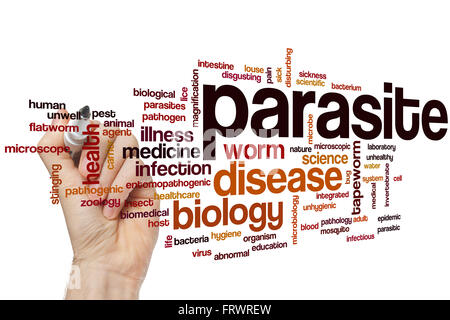 Zoology word cloud concept Stock Photo - Alamy