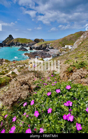 Kynance Cove, Cornwall, UK Stock Photo - Alamy