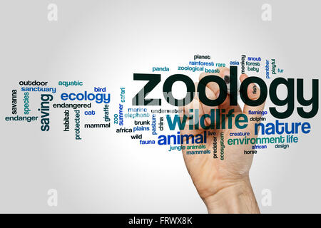 Zoology word cloud concept Stock Photo - Alamy